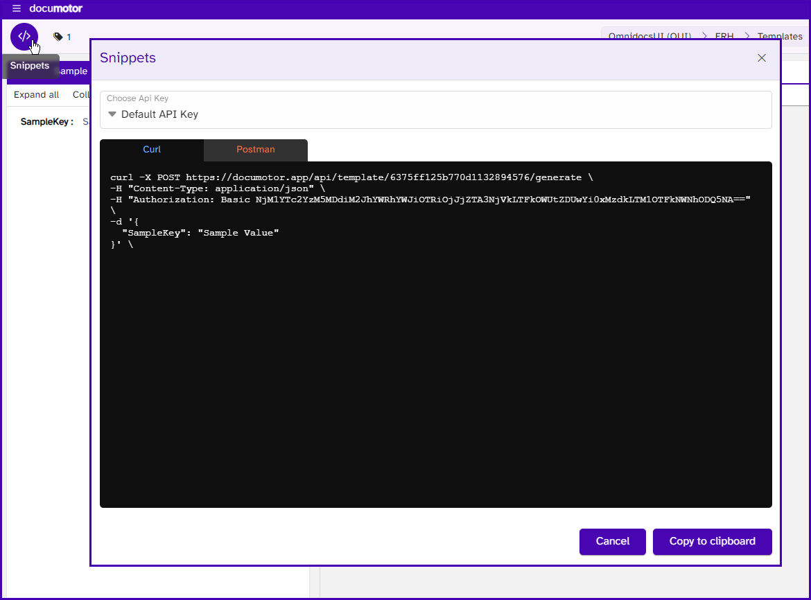 Template Editor – DocuMotor